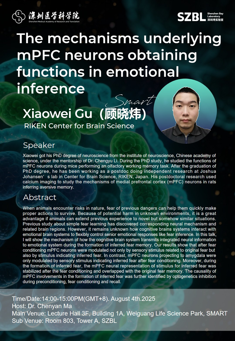 The mechanisms underlying mPFc neurons obtaining functions in emotional ...