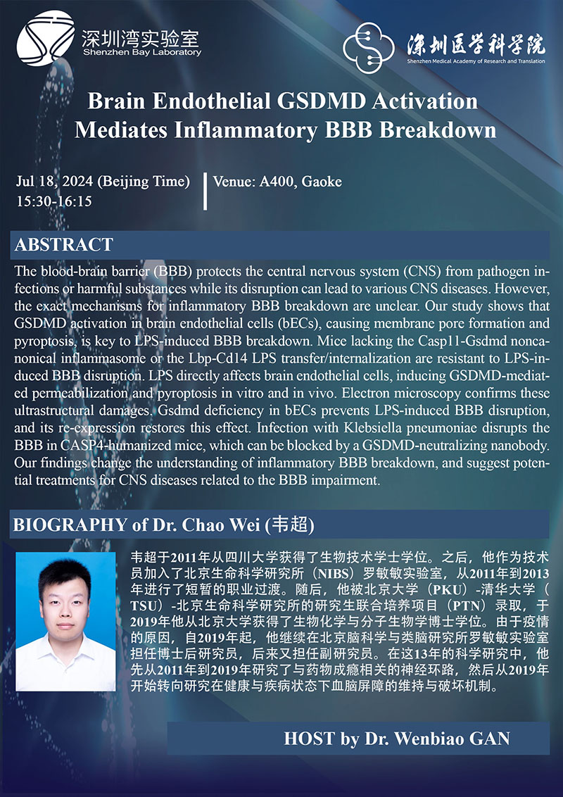 Brain Endothelial GSDMD Activation Mediates Inflammatory BBB Breakdown ...